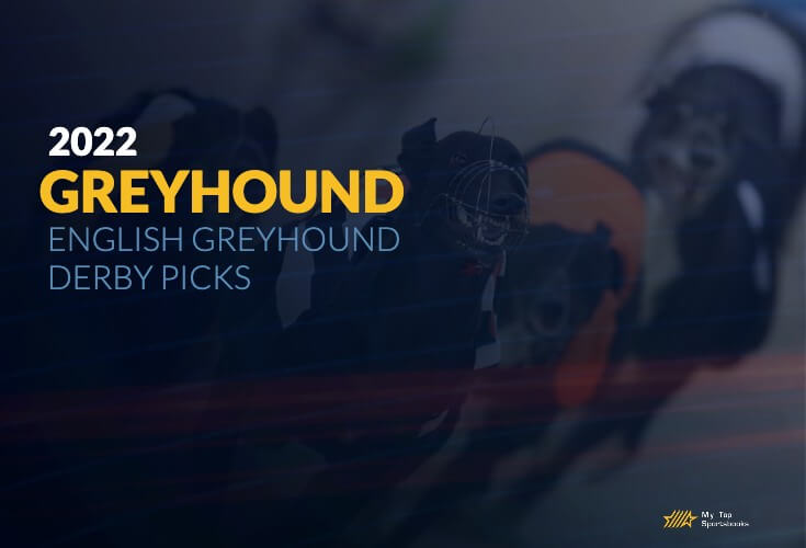 Best Greyhound Betting Sites 2024 - How to Bet on Greyhound